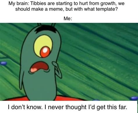 Tibbies Glorious Tibbies R Traaaaaaannnnnnnnnns