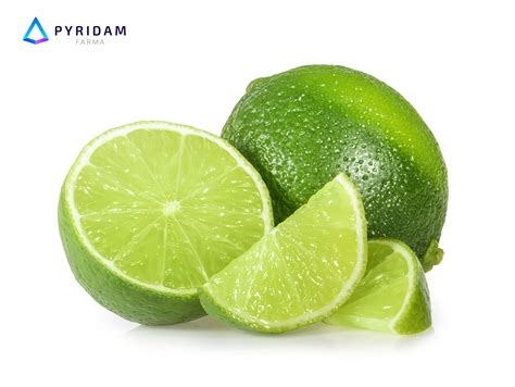 Kandungan Asam Pada Jeruk Nipis Bella Wright