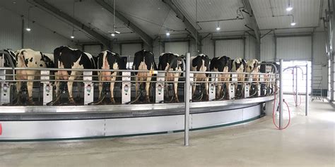 Technology Eio Diagnostics