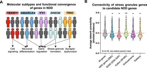 A Schematic Shows That While Variants In Multiple Candidate Genes Each Download Scientific