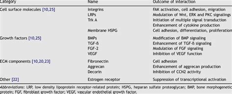 Molecular Counterparts Of Ccn2 Download Table