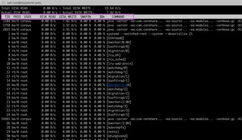 examples of iotop command in linux monitor disk input output per