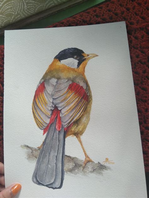 Tried new paper! Baohong 100% cotton. : r/Watercolor