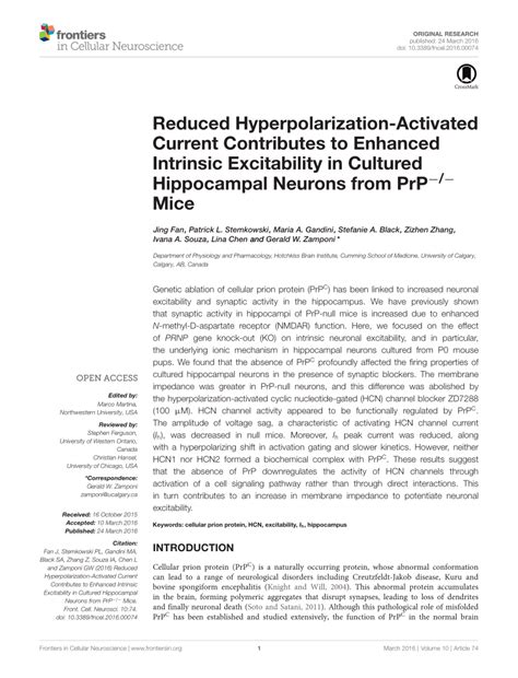Pdf Reduced Hyperpolarization Activated Current Contributes To Enhanced Intrinsic Excitability