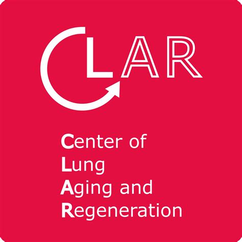 Single Nuclei Rna Sequencing Snrna Seq Of Frozen Human Lung Tissue And Hpcls