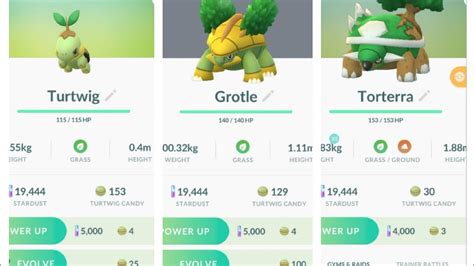 Pokemon Turtwig Evolution Chart