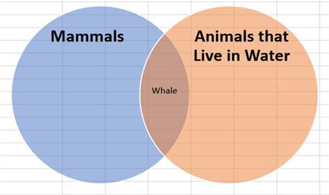 Venn Diagram Excel
