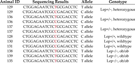 Sequencing Results To Verify The Genotypes Of Mice Identified By The