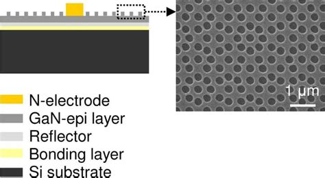 Schematic Drawing Of Pqc Tfleds And Sem Image Of Pqc Surface Morphology
