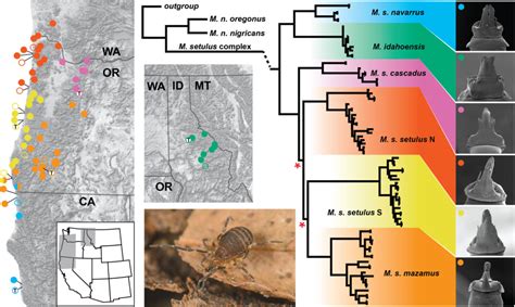 Figure From A Demonstration Of Unsupervised Machine Learning In Species Delimitation