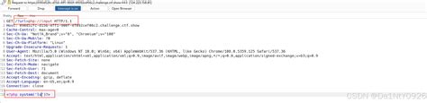 [ctf夺旗赛] ctfshow web1 14 详细过程保姆级教程~ ctfshow web14 csdn博客