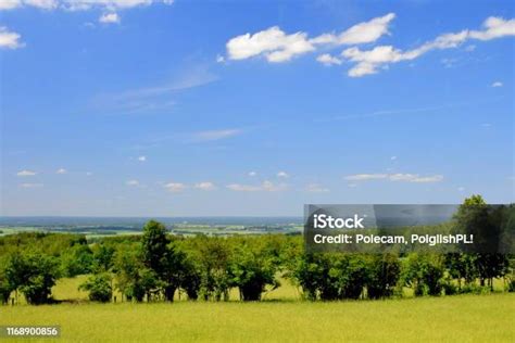 광활한 무성한 들판 초원 또는 목초지가 활강하는 나무와 하이킹 중 폴란드 시골에서 볼 수있는 지평선 위로 보이는 흐린 여름 하늘이있는 갓 깎아 내린 잔디로 덮여 있습니다 0