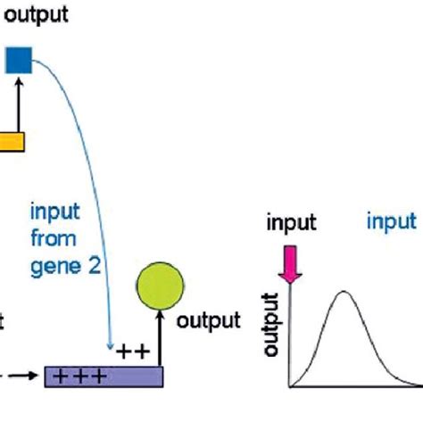 Associative Cell Learning Download Scientific Diagram