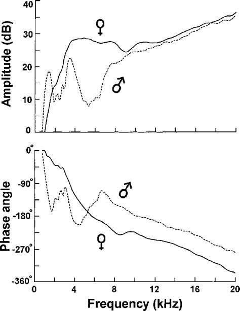 Transfer Functions Of One Female Solid Line And One Male Dashed Download Scientific Diagram