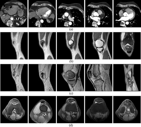 The Retrieval Results From Groups In Dataset Download Scientific Diagram