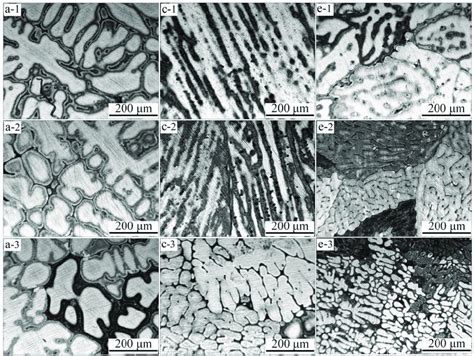 Microstructure Of Al 4 5 Wt Cu Alloy At Different Positions Of