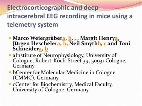 PPT EEG ìŒë ë¼ PowerPoint Presentation free download ID