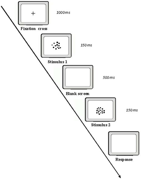 The Experimental Design Used In The Undergraduate Experiment The Download Scientific Diagram