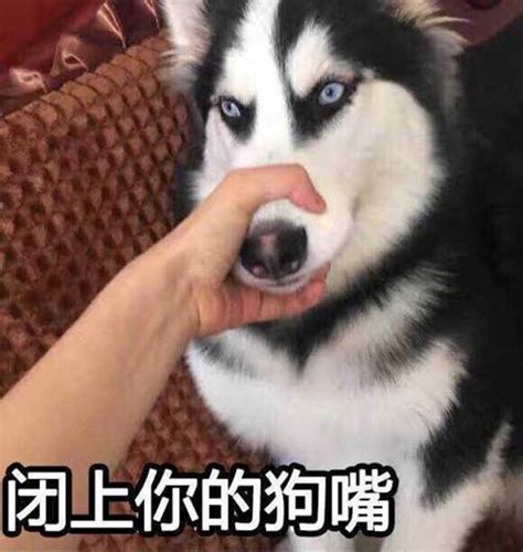 抖音把嘴闭上高清无码表情包在哪里 抖音把嘴闭上高清无码表情包分享 超分手游网