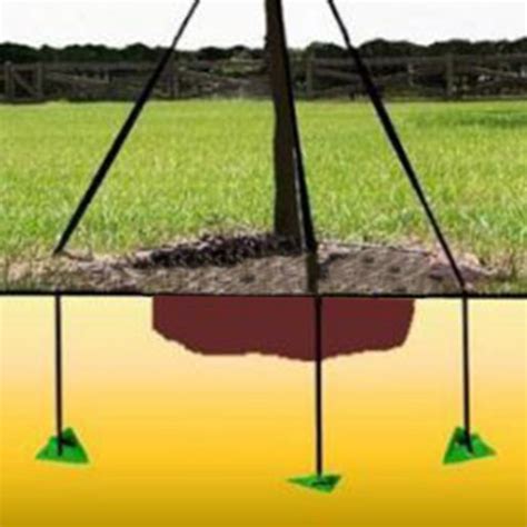 Tree Frog Above Ground Anchoring Kit In Caliper Tree SiteOne