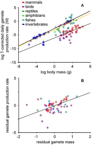 The Cost Of Sex Quantifying Energetic Investment In Gamete Production