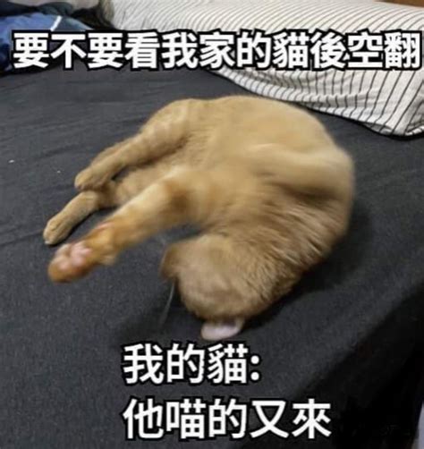 这算是暗示我吗 NGA玩家社区