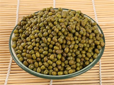 绿豆发霉的图片 绿豆芽发霉图片 绿豆发霉的样子图片 第3页 大山谷图库