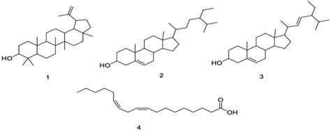 Lupeol 1 β Sitosterol 2 Stigmasterol 3 And Linoleic Acid 4 Download Scientific