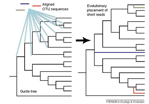 4 Investigating Taxa Of Interest Environmental Diversity Of Microbial Eukaryotes