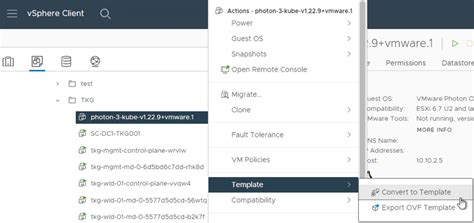 Tanzu Kubernetes Grid Upgrading A Management And Workload Cluster Deployed To Vsphere