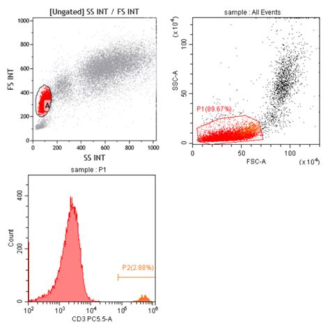 流式实验中的坑，我都帮你踩过了——第五坑 知乎