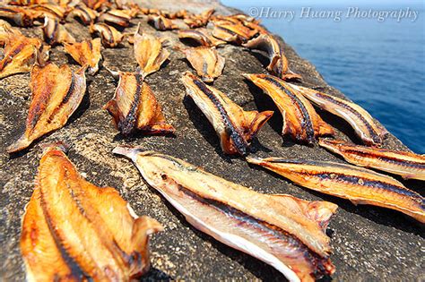 4 MG 5284 曬魚乾 魚乾 魚干 食物 曝曬 岩石 海鮮 海產 東北角 龍洞 新北市 龍洞 龍洞岬龍洞岩場 Flickr