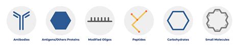 Luminex Xmap® For Immunoassays And Nucleic Acid Assays Diasorin