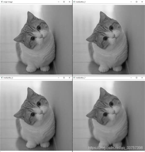Opencv与python之图像滤波a图像滤波 1 调入并显示原始图像 2 利用blur命令对图像进行均值滤波 3 Csdn博客