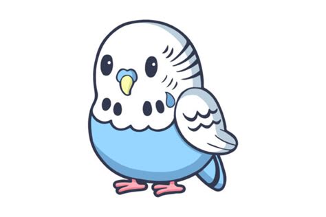 Cute Blue Budgie Bird Cartoon Sticker Graphic By Mvmet · Creative Fabrica