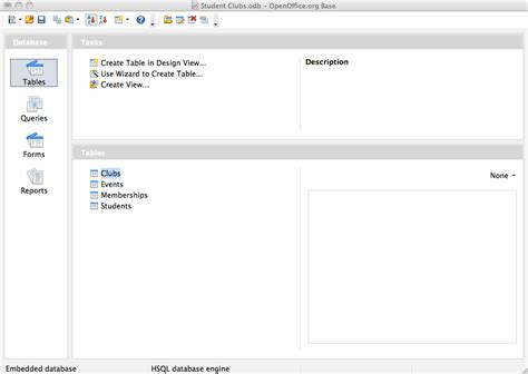 Chapter 4 Data And Databases Information Systems For Business And Beyond