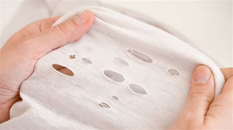 Heres Where Those Tiny Holes In Your Shirts Come From