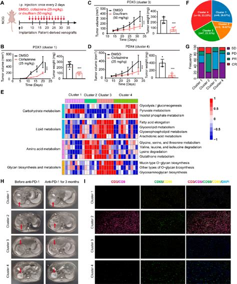 Potential Of Metabolic Clusters In Precision Therapy A To D Scheme