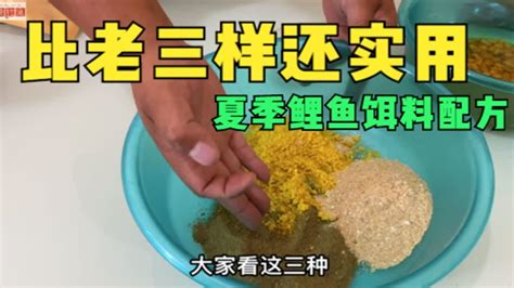 夏季鲤鱼饵料配方，三样简单搭配实用，有效的避开小杂鱼 Youtube