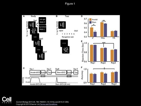 Spatiotemporal Neural Pattern Similarity Supports Episodic Memory Ppt
