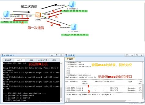 交换机的基础知识及基本操作
