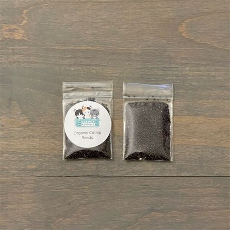 Catnip Seeds Etsy