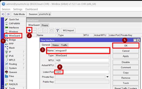 How To Set Up WireGuard VPN On MikroTik CHR