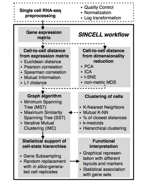 Sincell For Statistical Assessment Of Cell State Hierarchies From Single Cell Rna Seq Rna