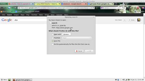 Firefox Asks Me To Download Json File Containing The Search Results