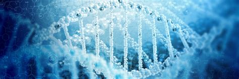 Sharing Small Data Files For More Analysis Power Nlm Musings From The Mezzanine