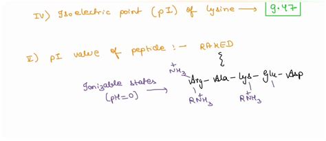 Solved Part 2 Critical Thinking Questions About Amino Acids And Protein Structure 16 The