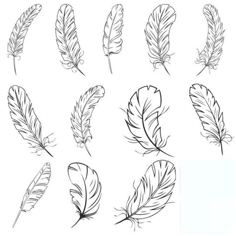 Collection Of Vector Feathers Feather Free Dxf File For Free Download Vectors Art