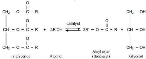 Transesterification Reaction Of Biodiesel Production Download