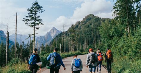 건강한 삶 건강한 생활 걷고 있는 경치 경치가 좋은 고요한 관광 광야 그룹 길 낮 레크리에이션 말 폴로 스카 맑은 공기 모험 무성한 녹지 방랑벽